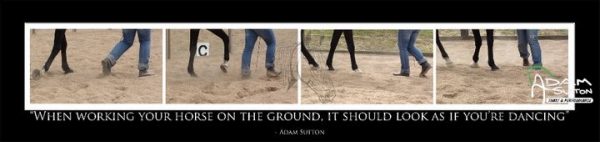 Adam Sutton – Adam Sutton