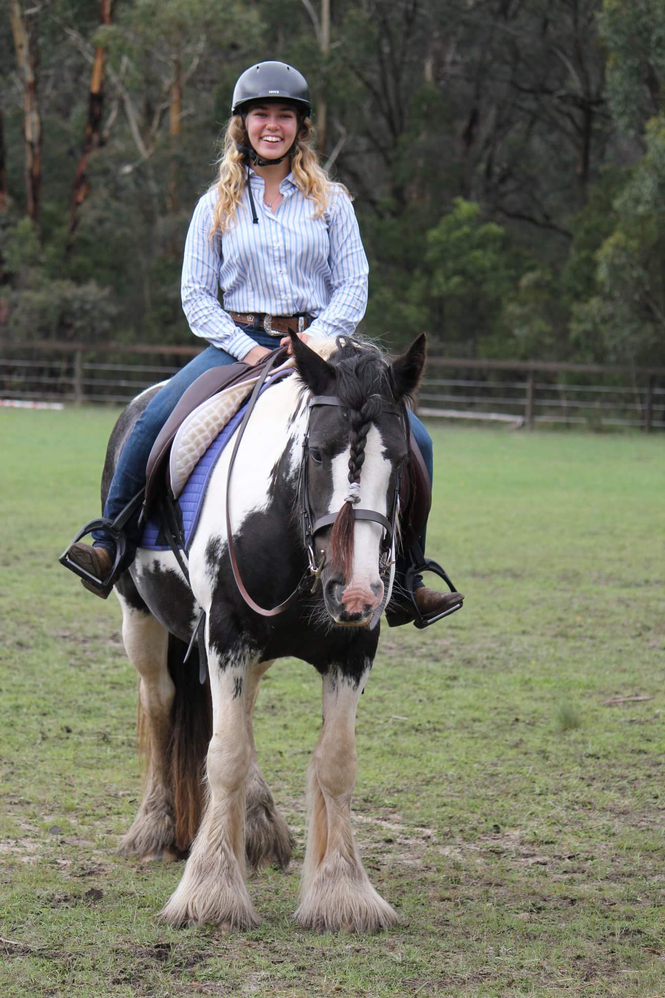 New South Wales – Upcoming Clinics/ Confidence Camps & Lesson Days ...