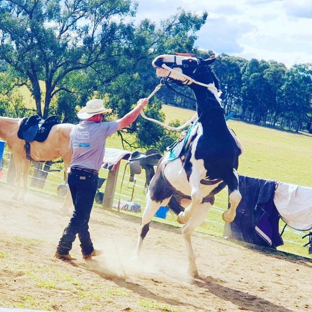 Adam Sutton – AllroundHorsemanship – Adam Sutton