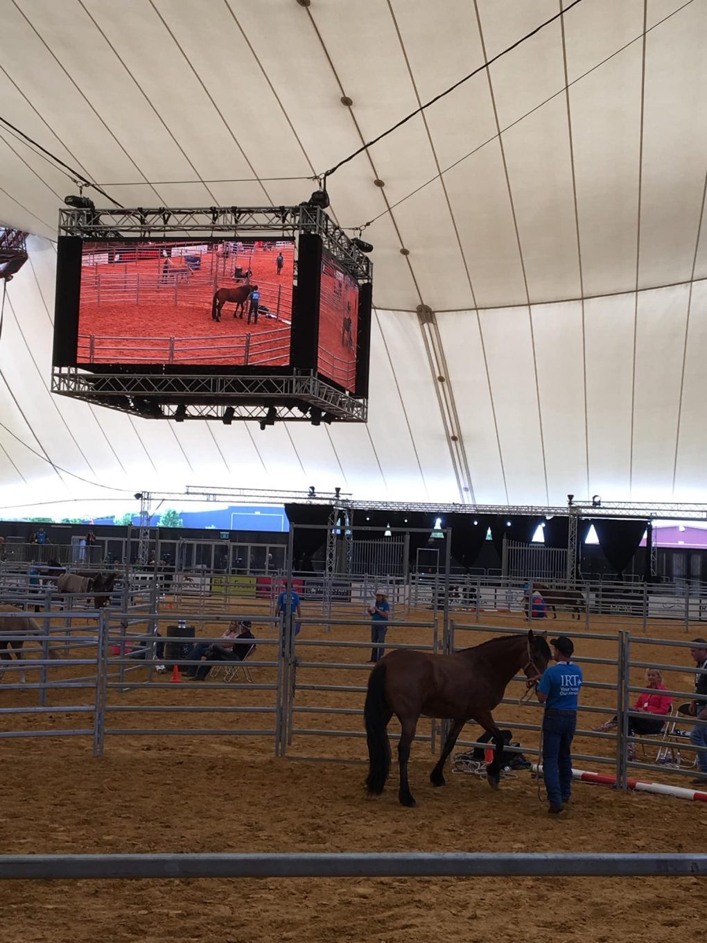 Getting to know us.. – Adam Sutton – AllroundHorsemanship
