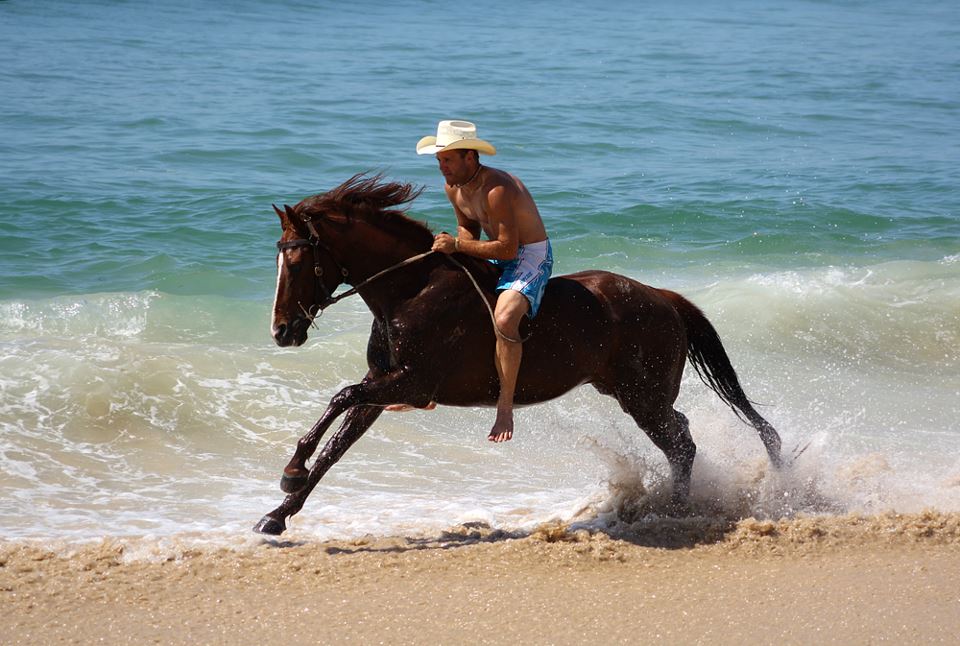 Getting to know us.. – Adam Sutton – AllroundHorsemanship