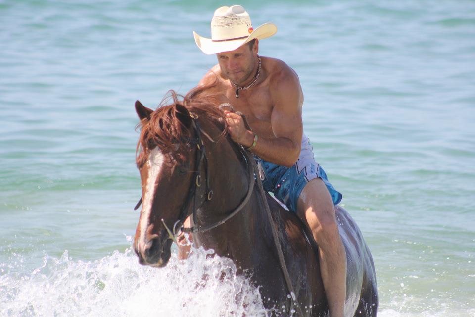 Getting to know us.. – Adam Sutton – AllroundHorsemanship